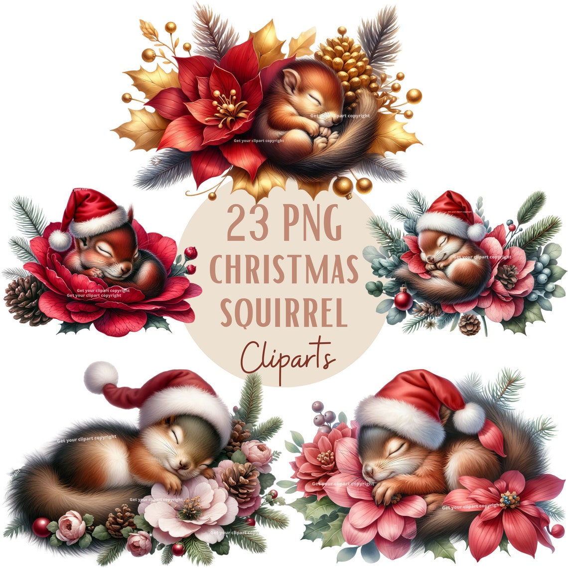 Christmas Squirrel Clipart Bundle, Christmas Clipart, Winter Png ...