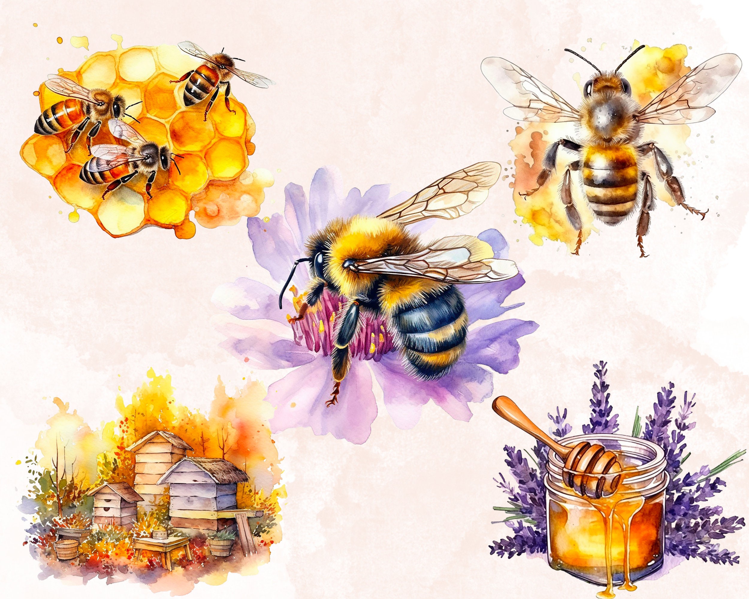 Bee Clipart Watercolor Honey Clipart Bee Png Files - Etsy