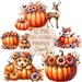 Fall Floral Pumpkin Clipart Bundle, Floral Pumpkin Png, Hello Fall ...