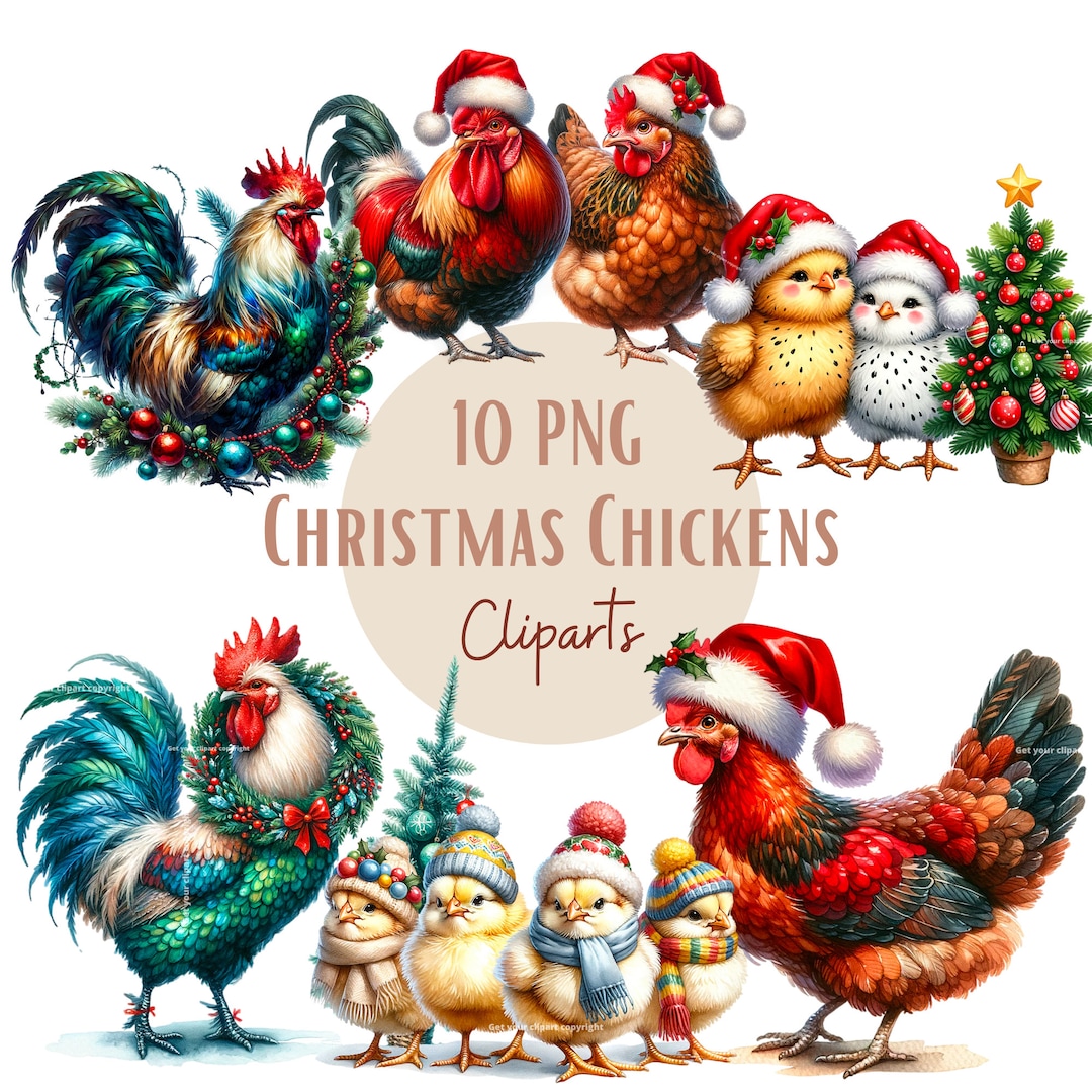 Christmas Chicken Png Files, Watercolor Chicken Clipart, Watercolor ...