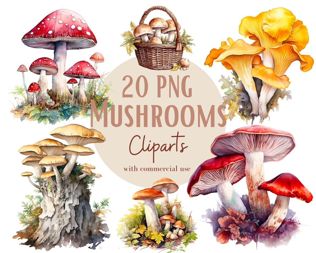 Mushroom Png Graphics, Mushroom Clipart, Watercolor Mushroom Designs ...