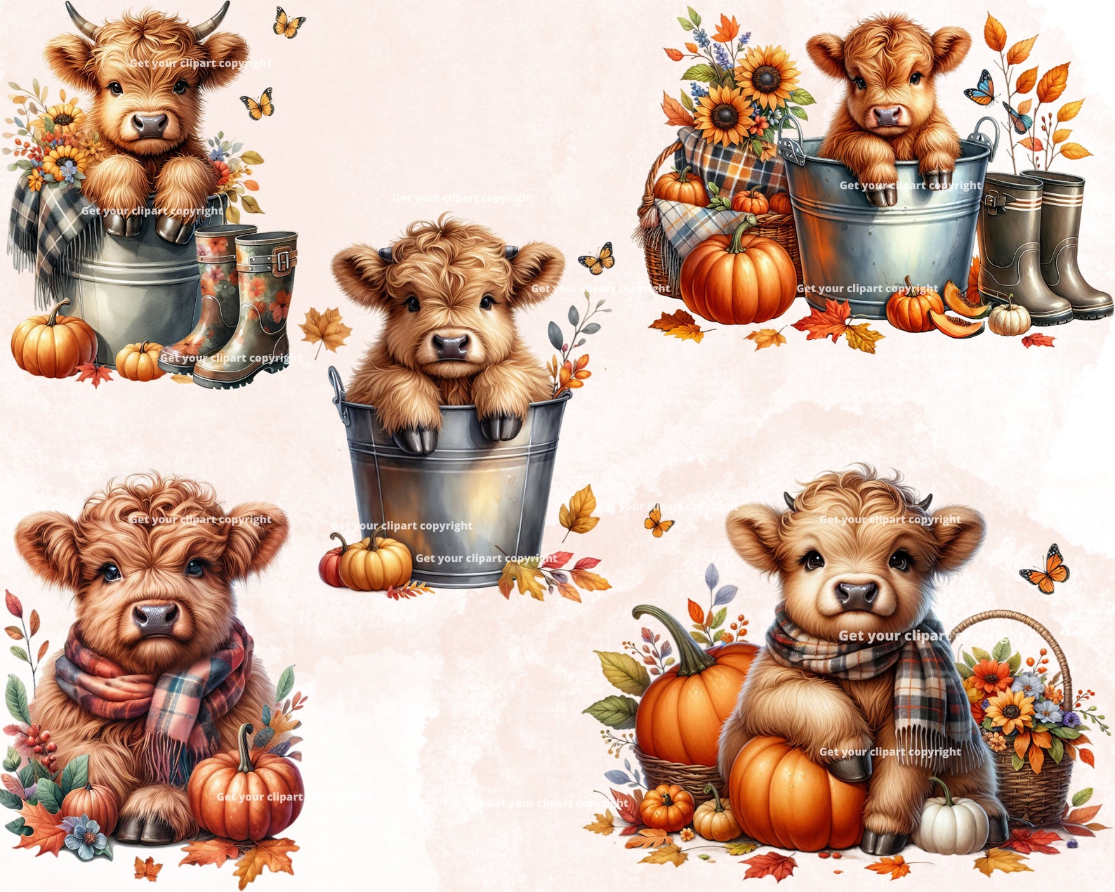 Baby Highland Cow Clipart Bundle, Highland Cow Clipart, Highland Cow ...