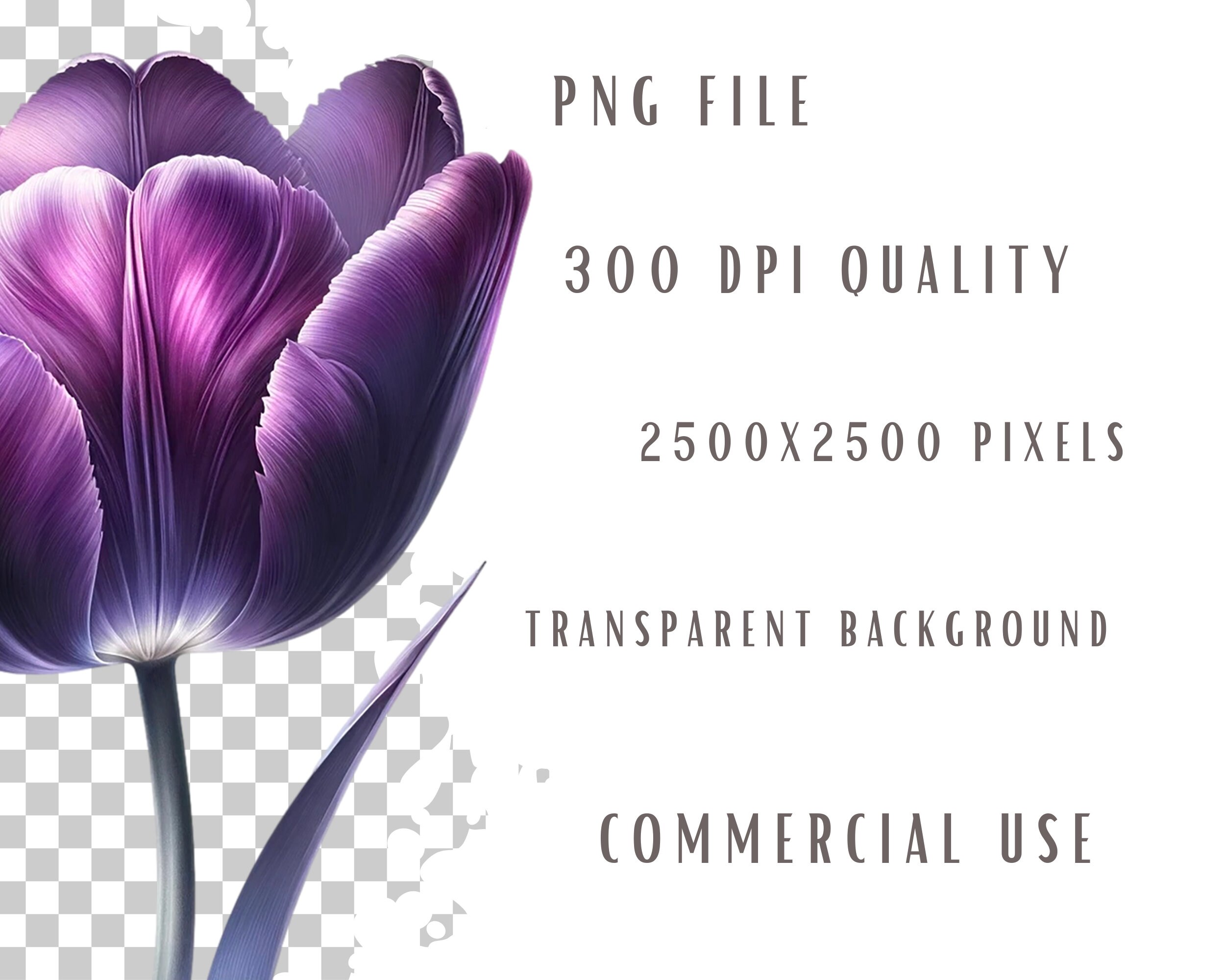 Spring Tulips Clipart Bundle, Watercolor Flowers Clipart, Spring Png ...
