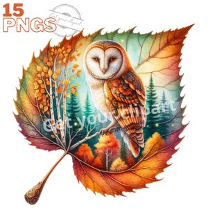 Autumn Leaf Clipart Bundle, Fall Clipart, Autumn Graphics, Fall ...