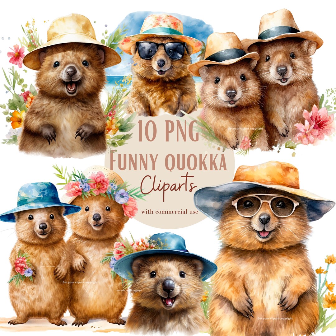 Quokka Clipart Bundle, Australia Clipart, High Quality Png Files, Set ...