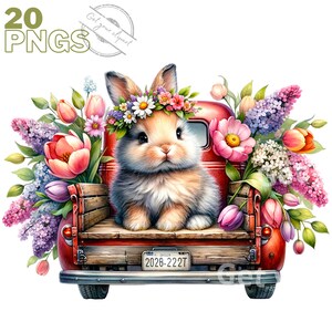 Spring Bunny Clipart Bundle, Spring Clipart, Cute Bunny Graphics ...