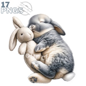 Cuddly Bunny Clipart Bundle, Cute Bunny Pngs, Spring Designs ...