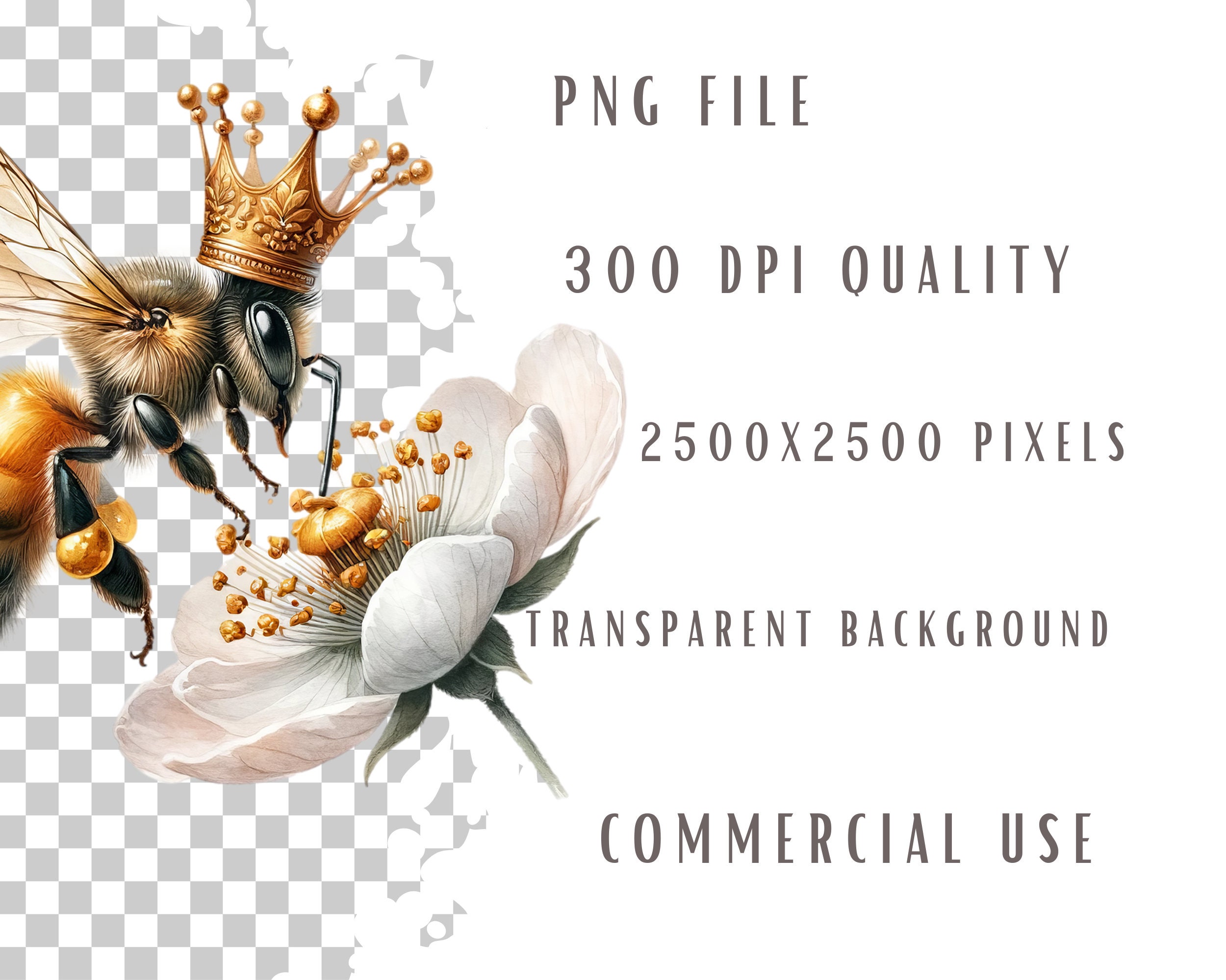Queen Bee Clipart Bundle, Bee Png Files, Spring Clipart, Honeybee ...