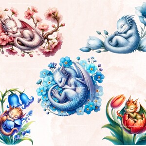 Dragons and Flowers Clipart Bundle, Cute Baby Dragon, Baby Dragon Png ...