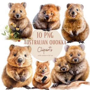 Quokka Clipart Bundle, Australia Clipart, High Quality Png Files, Set ...