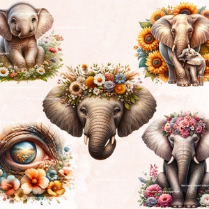 Elephant and Flowers Cliparts Bundle, Safari Animal Png Files, Jungle ...