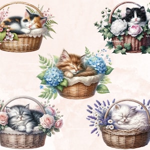 Kitty in a Basket Clipart Bundle, Kitten Clipart, Cute Cat Graphics ...