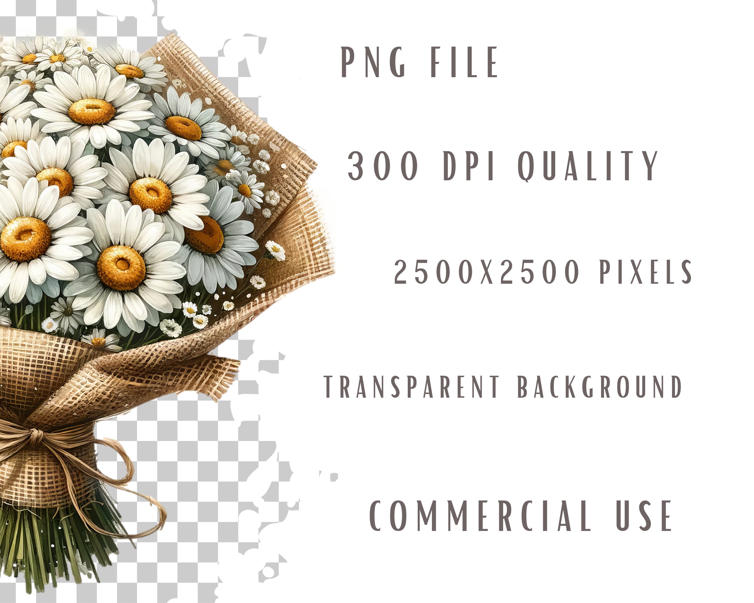 Daisy Flower Clipart Bundle, Watercolor Flowers Clipart, Spring Png ...