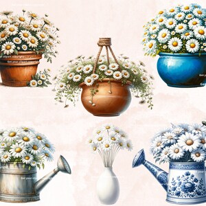 Daisy Flower Clipart Bundle, Watercolor Flowers Clipart, Spring Png ...