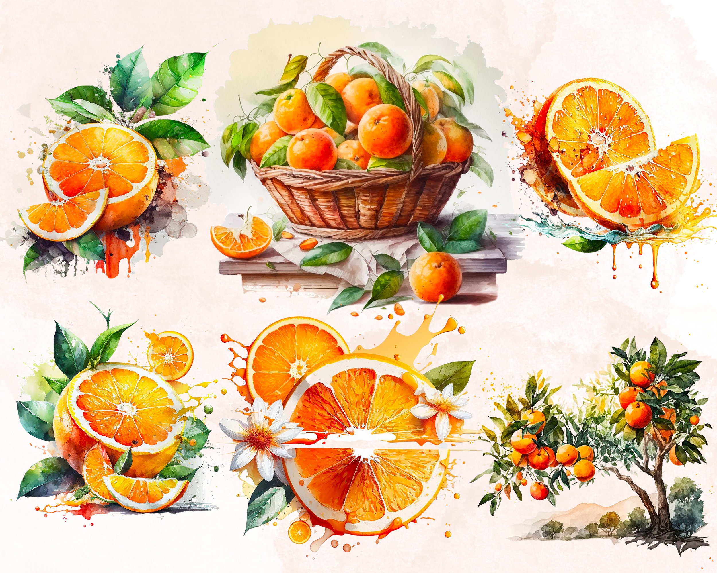 Watercolor Orange Clipart, Orange Fruit Bundle, Watercolor Orange ...