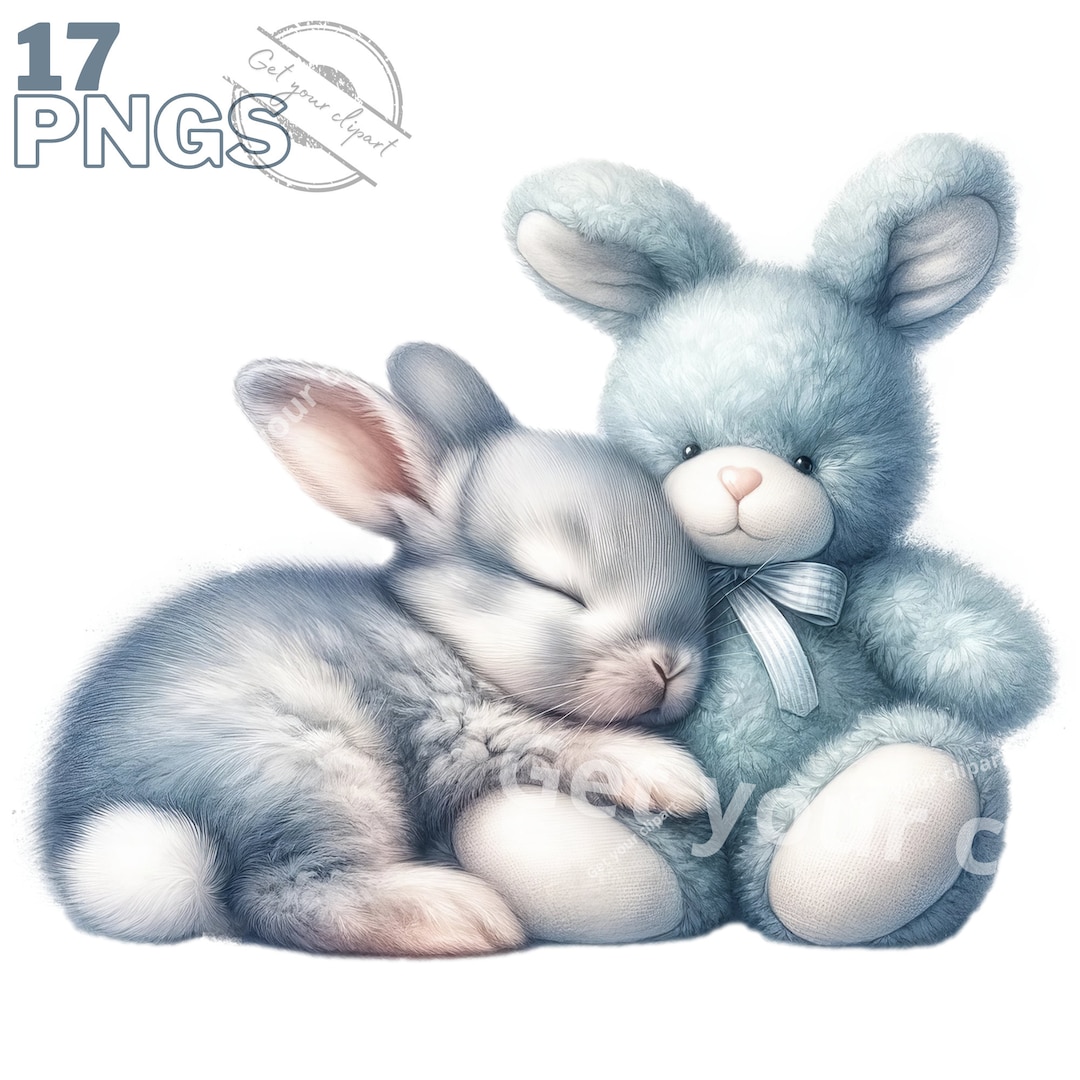 Cuddly Bunny Clipart Bundle, Cute Bunny Pngs, Spring Designs ...
