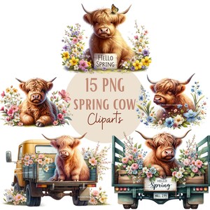 Spring Highland Cow Clipart Bundle, Printable Spring Graphics, Highland ...