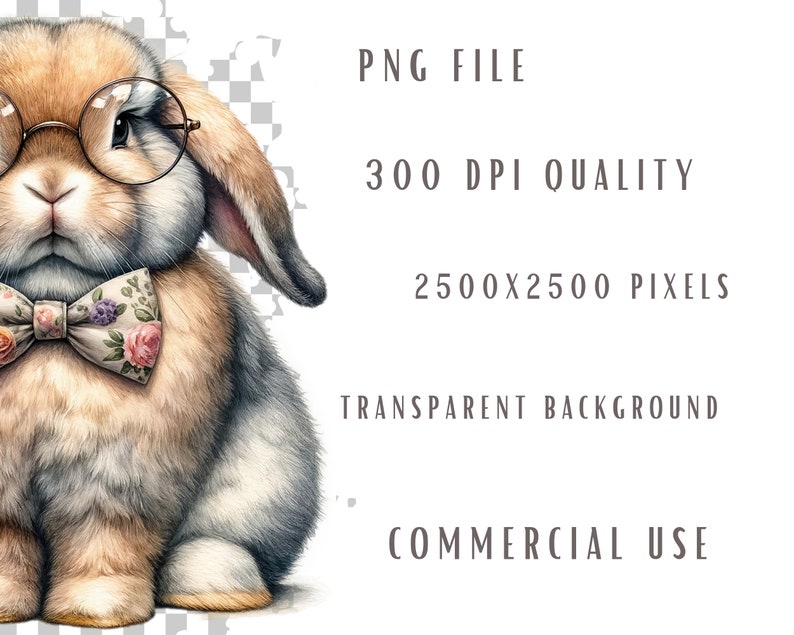 Easter Bunny With Glasses Clipart Bundle, Easter Clipart, Easter Png ...