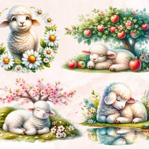 Spring Lamb Clipart Bundle, Easter Lamb Png Graphics, Easter ...