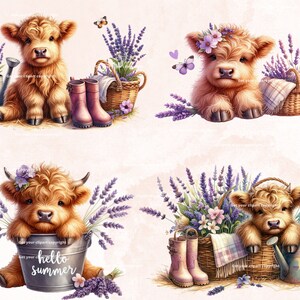 Baby Highland Cow Clipart Bundle, Highland Cow Clipart, Highland Cow ...