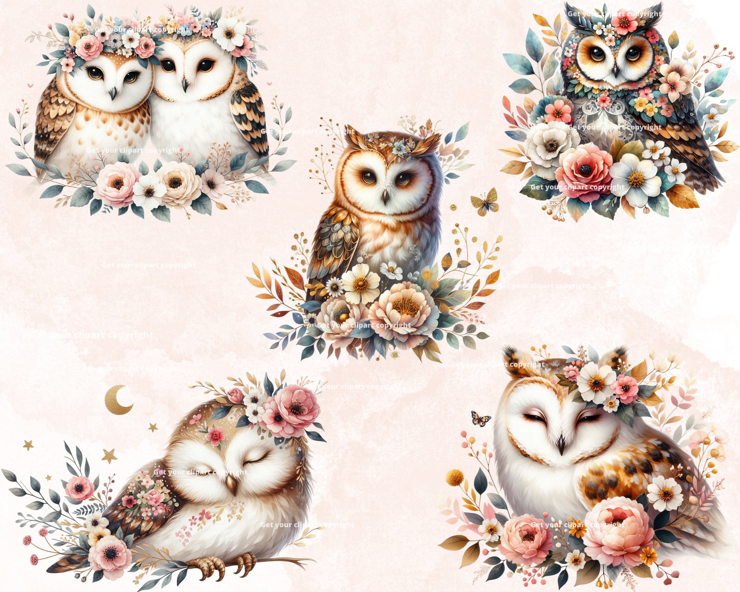 Floral Owl Clipart Bundle, Woodland Animal Graphics, Floral Png Designs ...