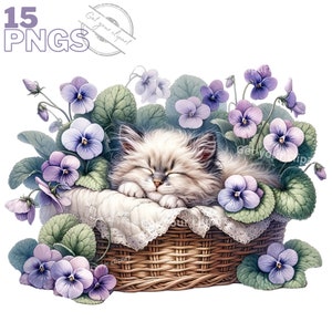 Kitty in a Basket Clipart Bundle, Kitten Clipart, Cute Cat Graphics ...