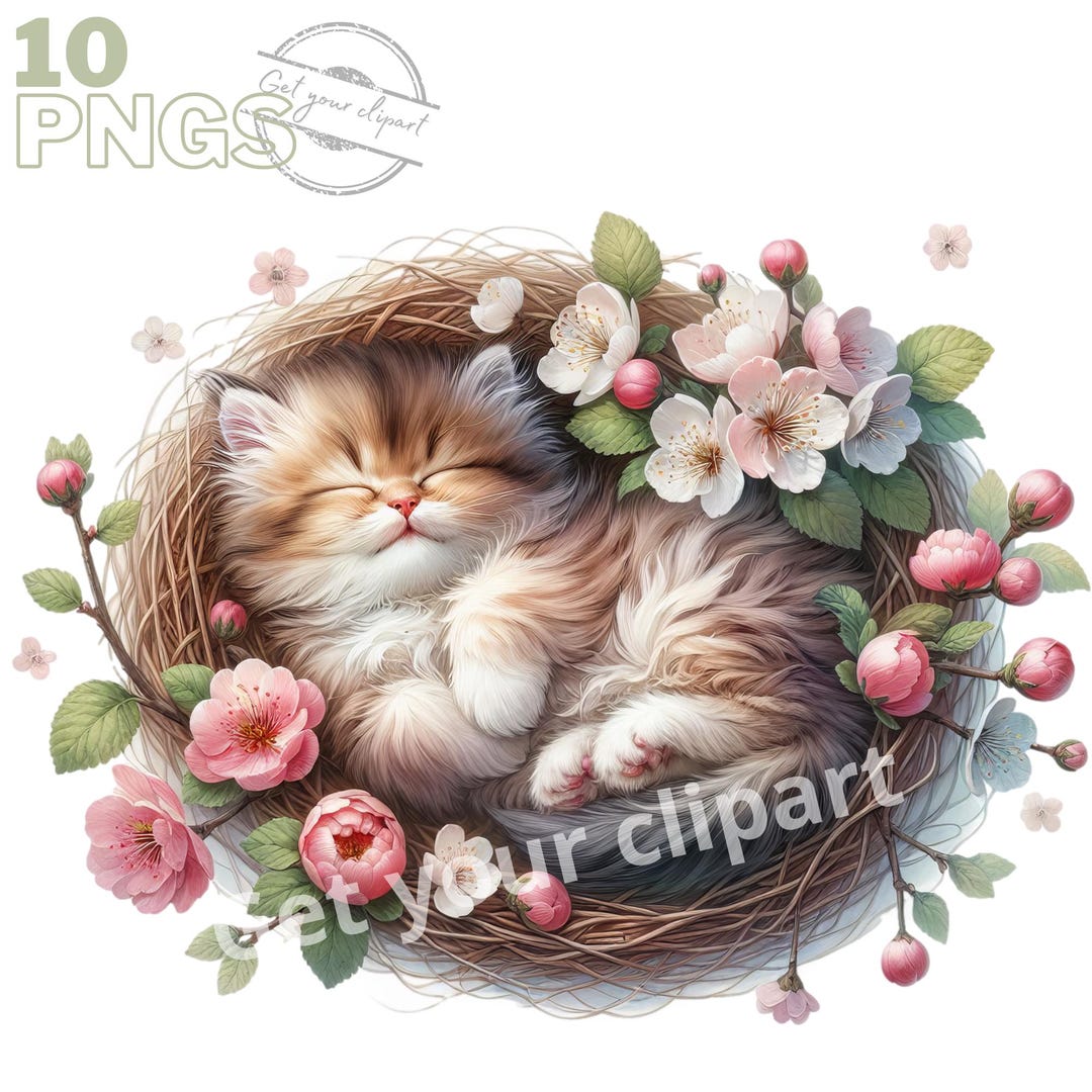 Kitty in a Basket Clipart Bundle, Kitten Clipart, Cute Cat Graphics ...