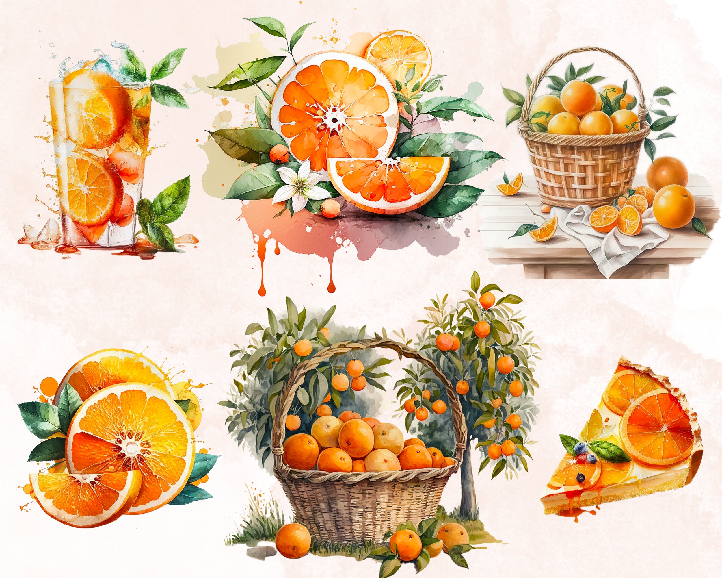 Watercolor Orange Clipart Orange Fruit Bundle Watercolor - Etsy