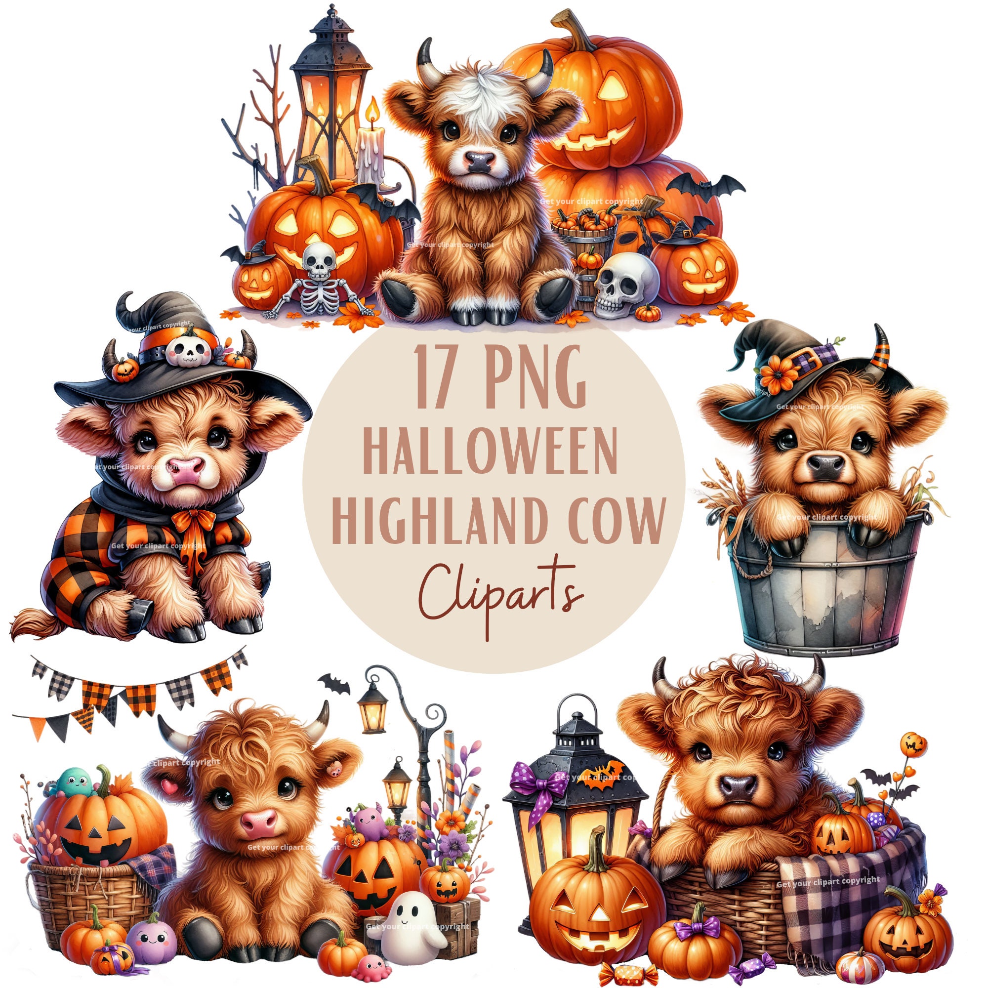 Halloween Baby Highland Cow Clipart Bundle, Highland Cow Clipart ...