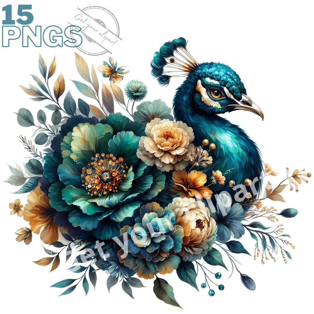 Majestic Peacock Clipart Bundle, Bird Clipart Bundle, Printable Peacock ...