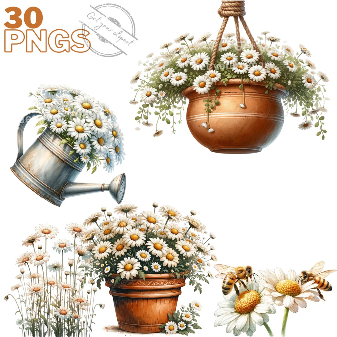 Daisy Flower Clipart Bundle, Watercolor Flowers Clipart, Spring Png ...