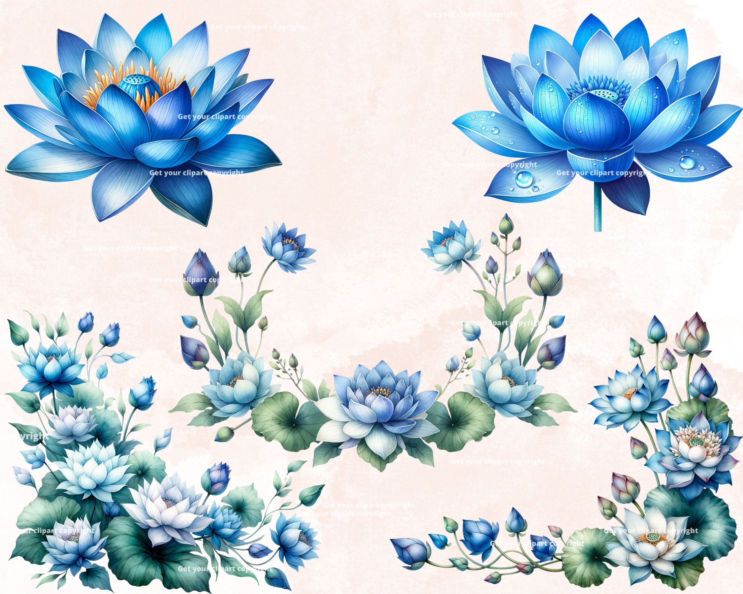 Blue Lotus Flower Clipart