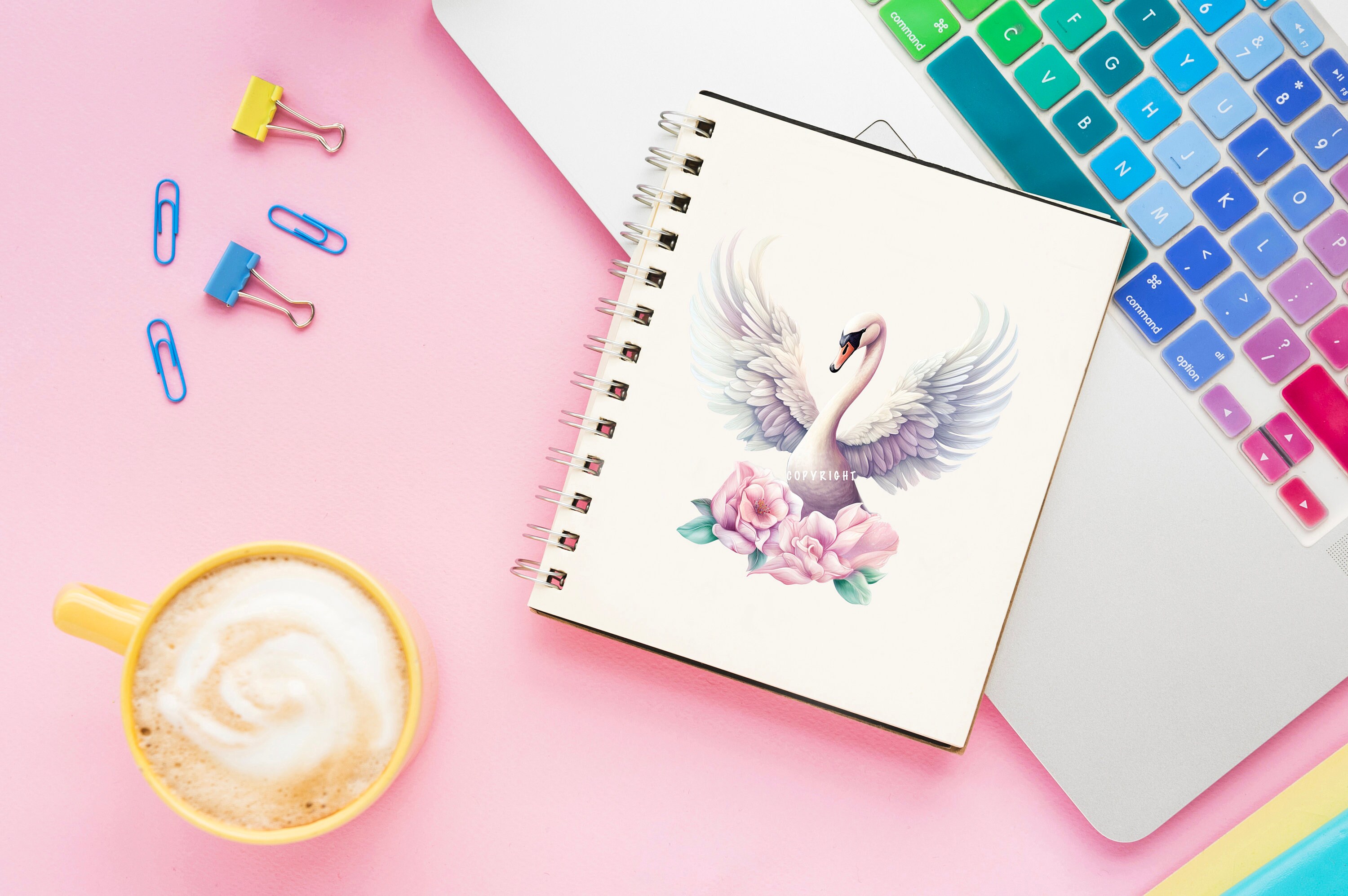 Swan Graphics Bundle Bird Clipart Set of 10 Transparent - Etsy Australia