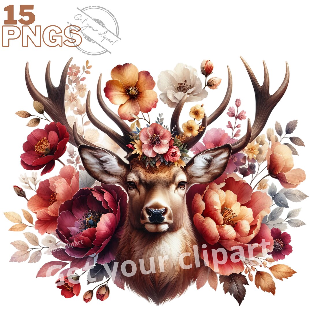 Floral Deer Clipart Bundle, Woodland Animal Graphics, Floral Png ...
