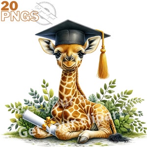 Graduate Baby Animals Clipart Bundle, Preschool Graduation, Graduation ...