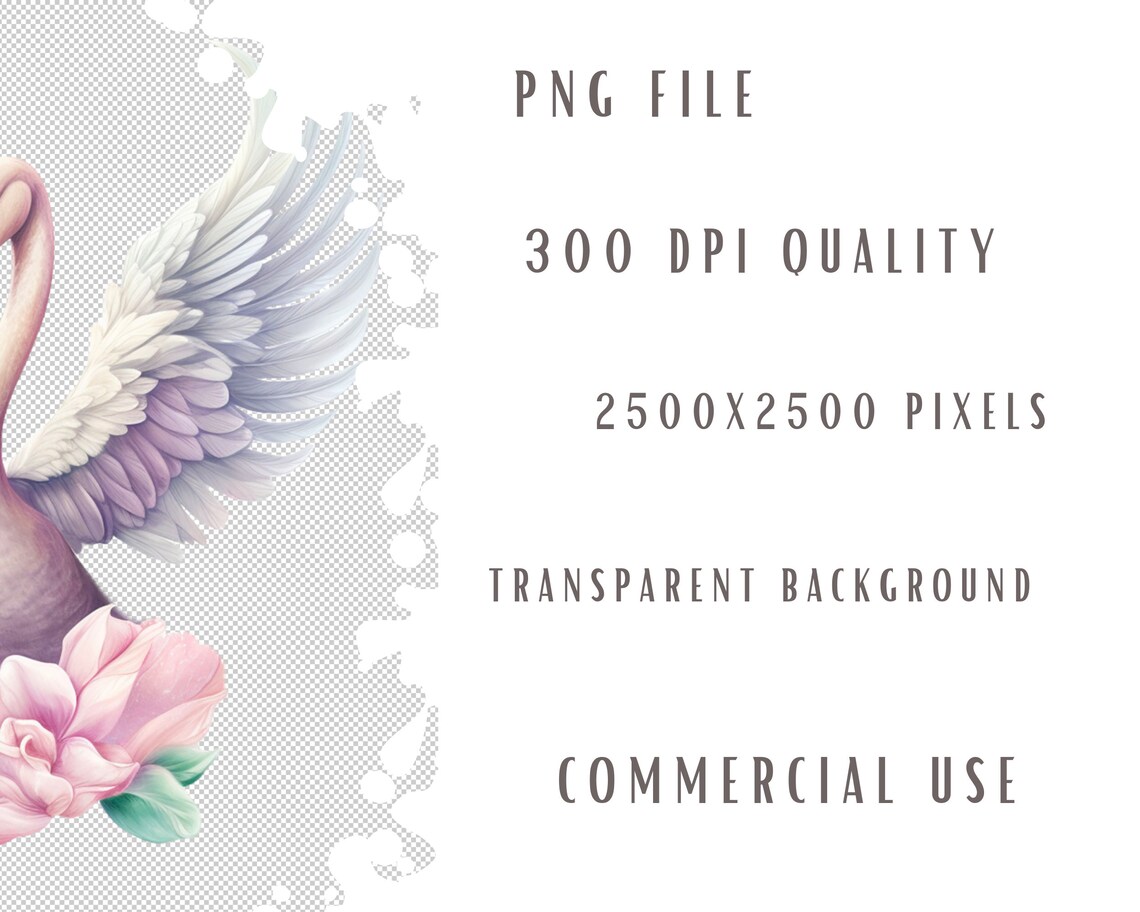 Swan Graphics Bundle, Bird Clipart Set of 10, Transparent Background ...