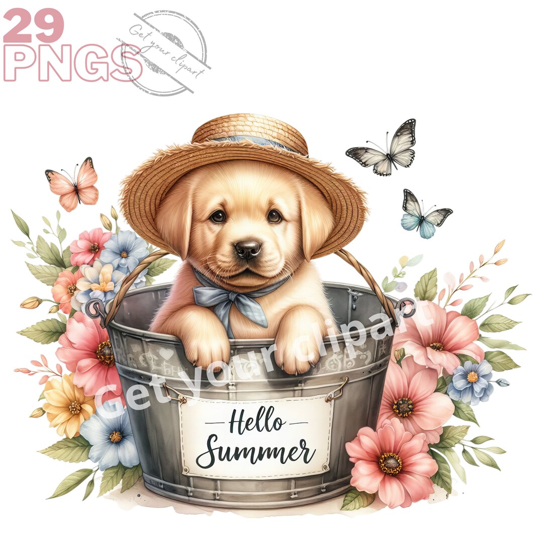 Summer Labrador Puppy Clipart Bundle, Puppy Clipart, Cute Labrador Png ...