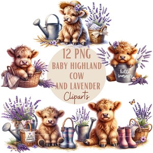 Baby Highland Cow Clipart Bundle, Highland Cow Clipart, Highland Cow ...