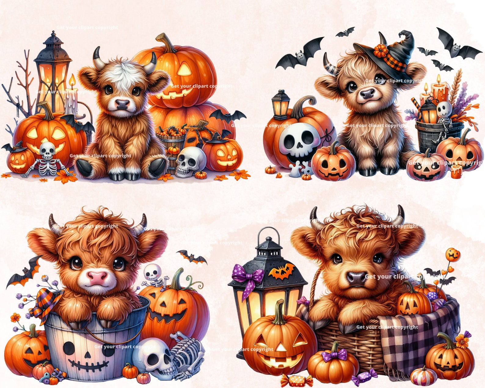 Halloween Baby Highland Cow Clipart Bundle, Highland Cow Clipart ...