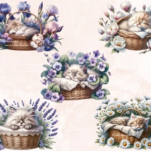 Kitty in a Basket Clipart Bundle, Kitten Clipart, Cute Cat Graphics ...