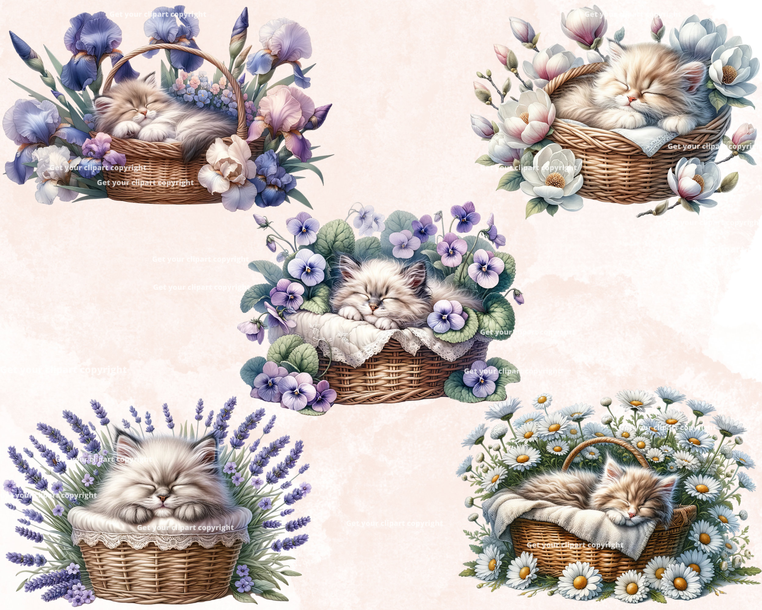 Kitty in a Basket Clipart Bundle, Kitten Clipart, Cute Cat Graphics ...