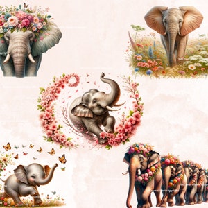 Elephant and Flowers Cliparts Bundle, Safari Animal Png Files, Jungle ...