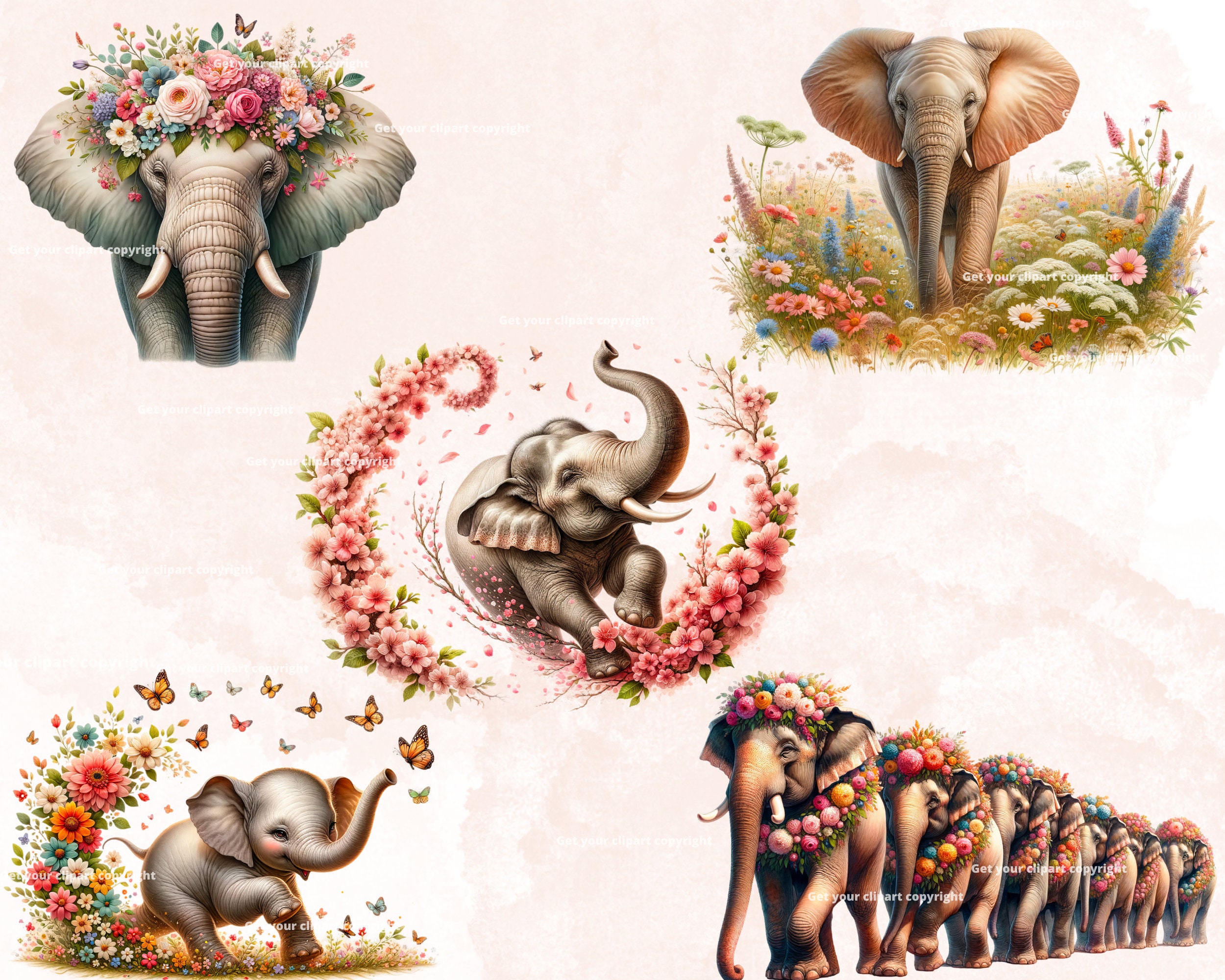 Elephant and Flowers Cliparts Bundle, Safari Animal Png Files, Jungle ...