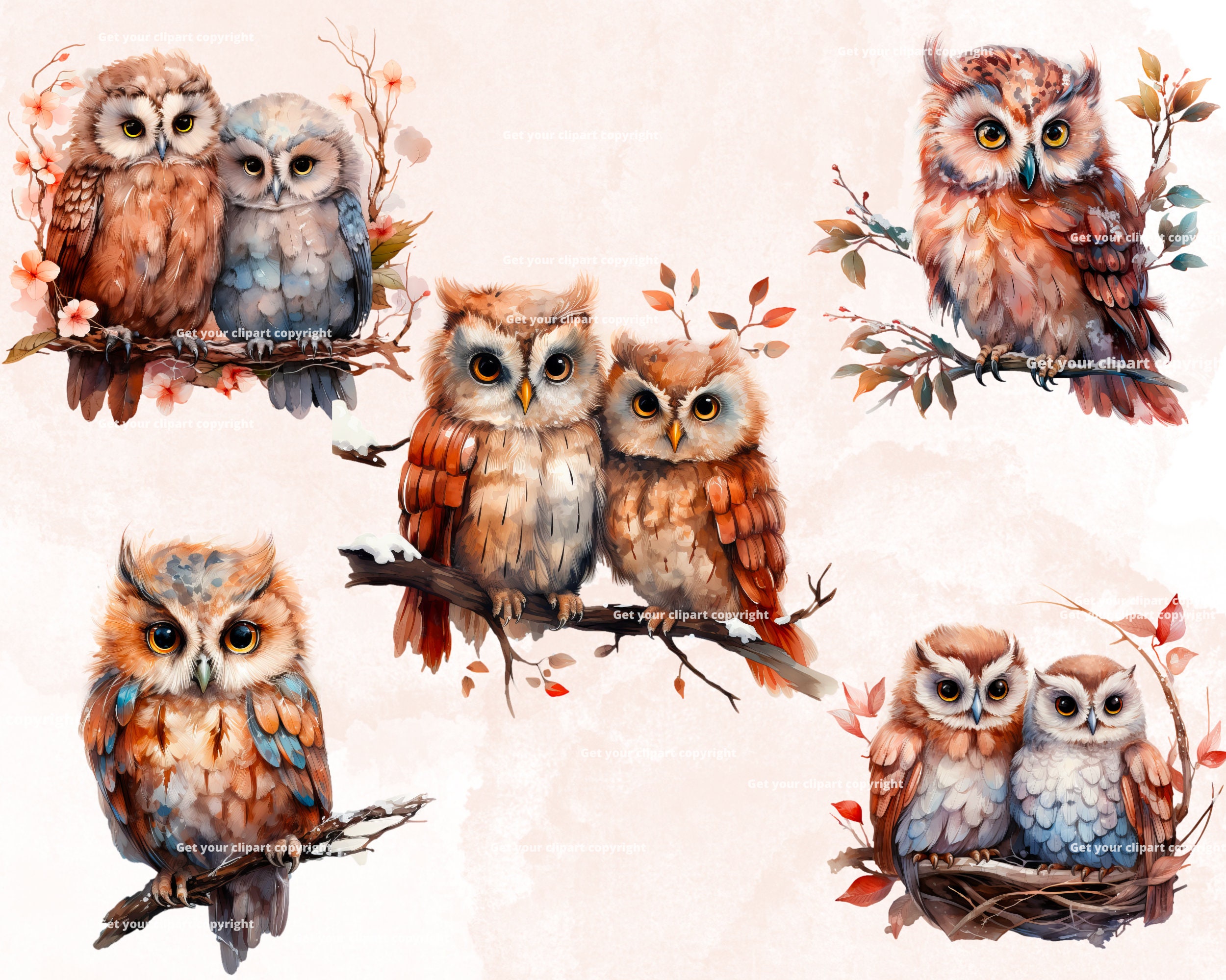 Owl Png Clipart Bundle Woodland Animal Graphics Fall Vibes - Etsy