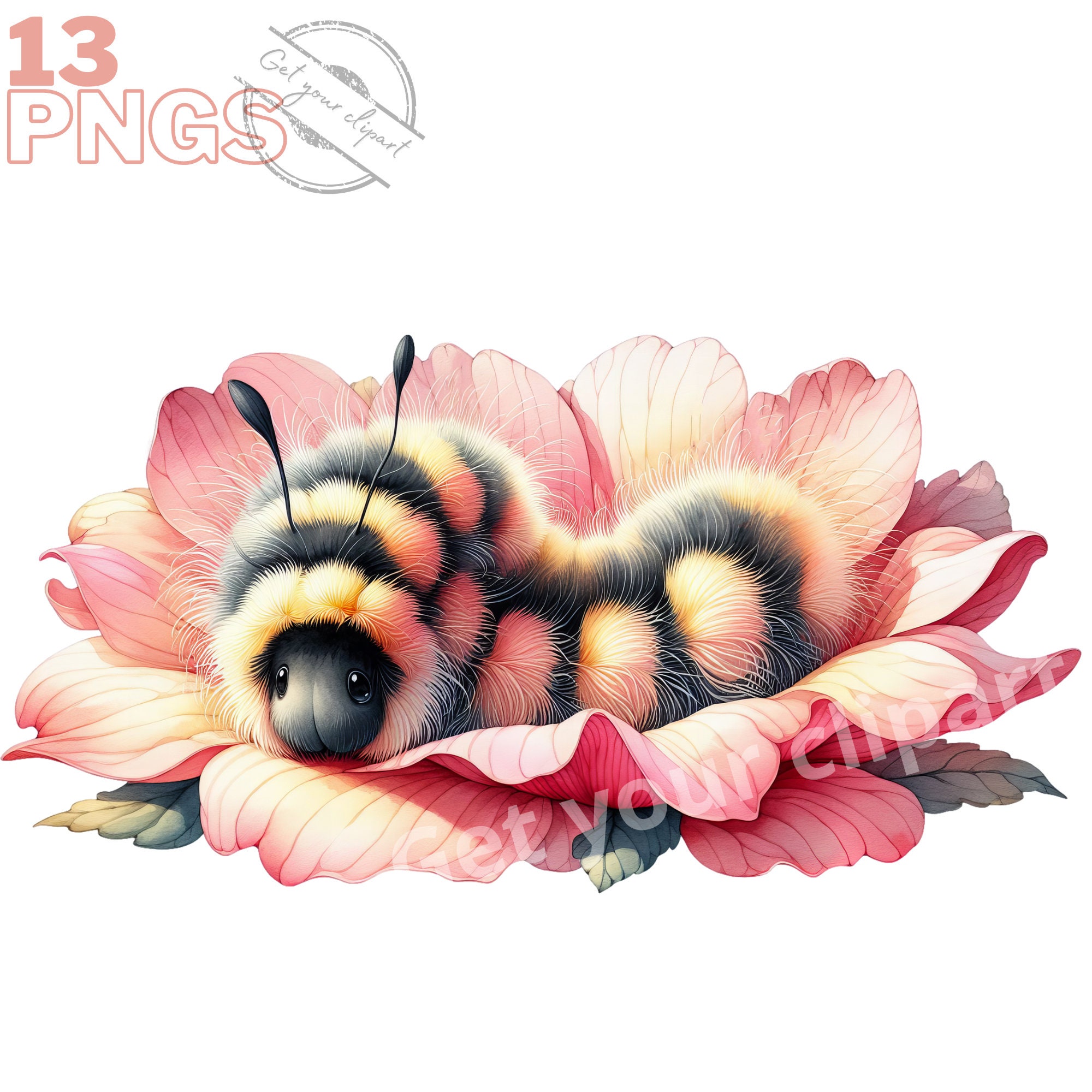 Cute Caterpillar Clipart Bundle, Caterpillar Png Files, Spring Clipart ...