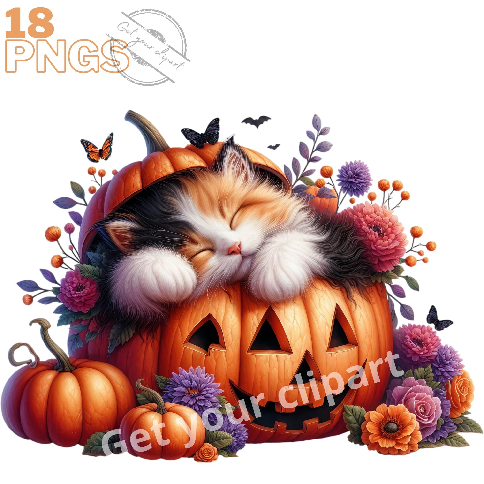 Halloween Cat Clipart Bundle, Halloween Clipart, Halloween Png Graphics ...