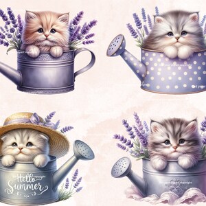 Kitten and Lavender Clipart Bundle, Kitten Clipart, Cute Cat Graphics ...