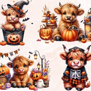 Halloween Baby Highland Cow Clipart Bundle, Highland Cow Clipart ...