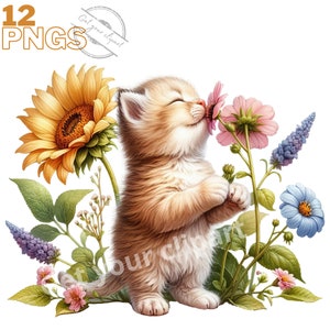 Baby Cat and Flowers Clipart Bundle, Kitten Clipart, Cute Cat Graphics ...