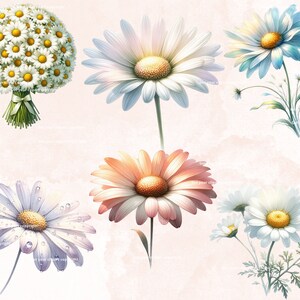 Daisy Flower Clipart Bundle, Watercolor Flowers Clipart, Spring Png ...